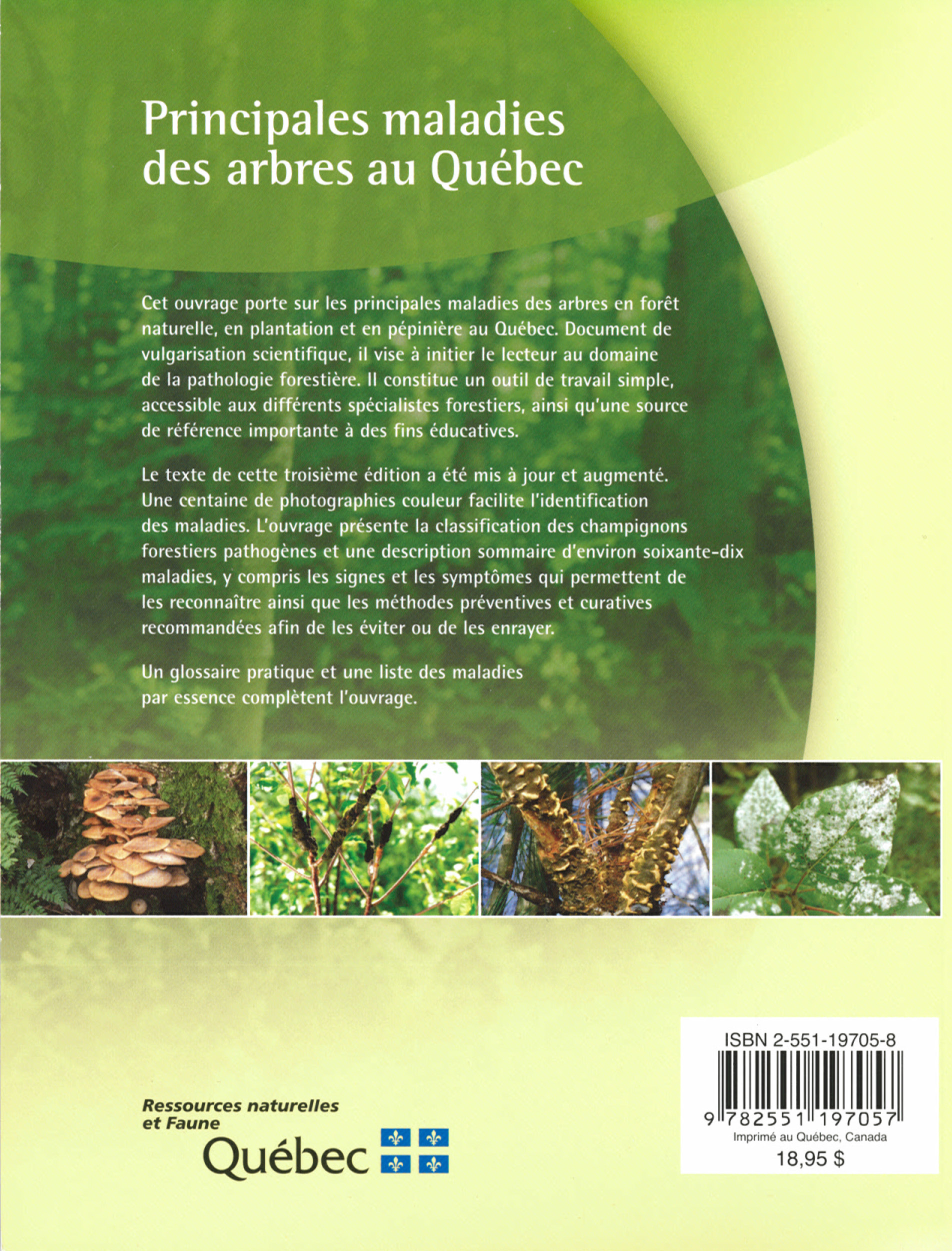 Principales maladies des arbres au Québec
