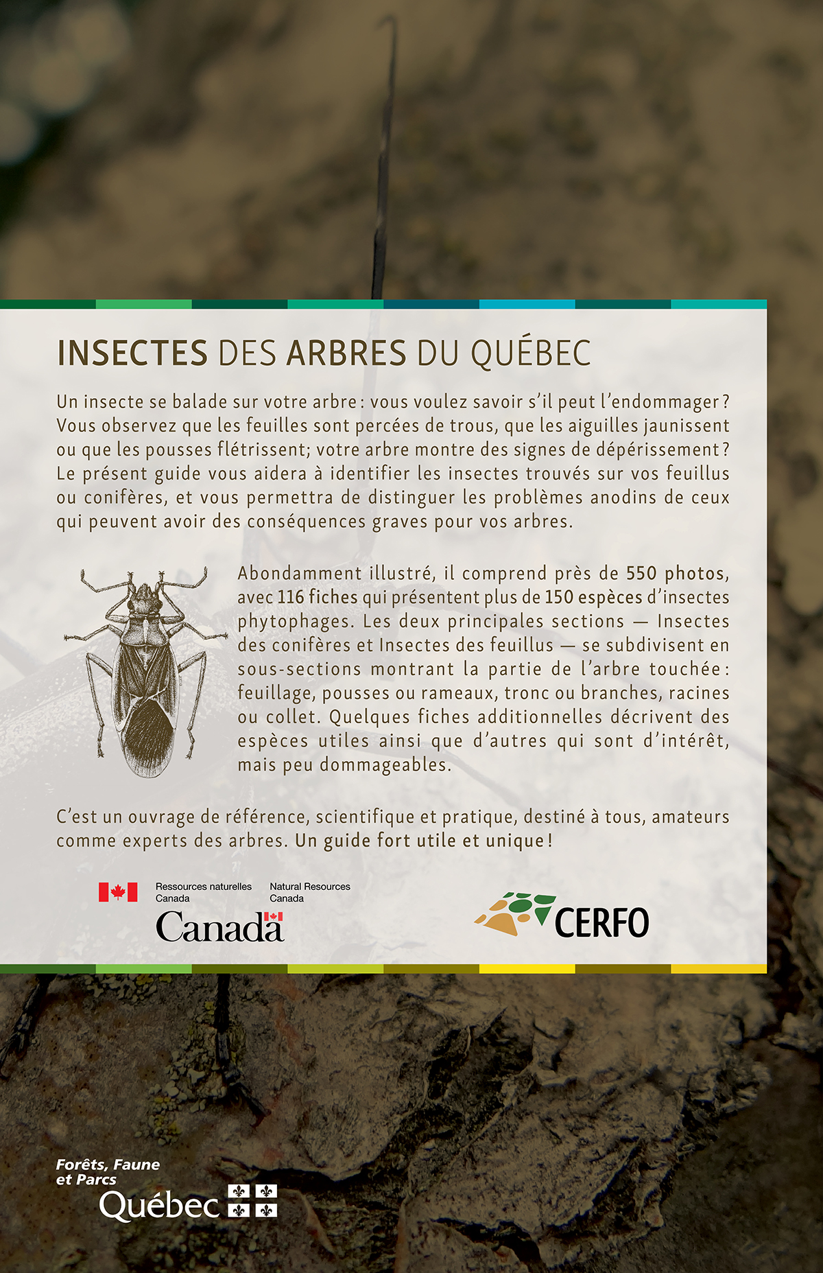 Insectes des arbres du Québec - PDF