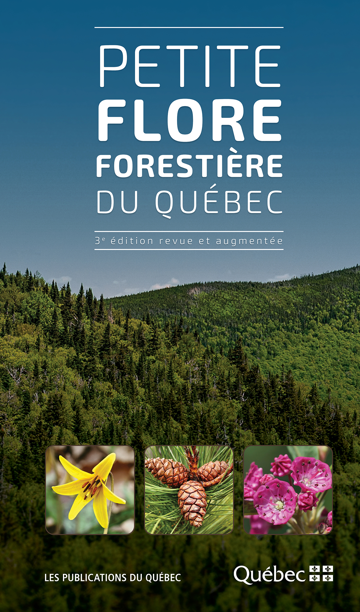 Principales maladies des arbres du Québec