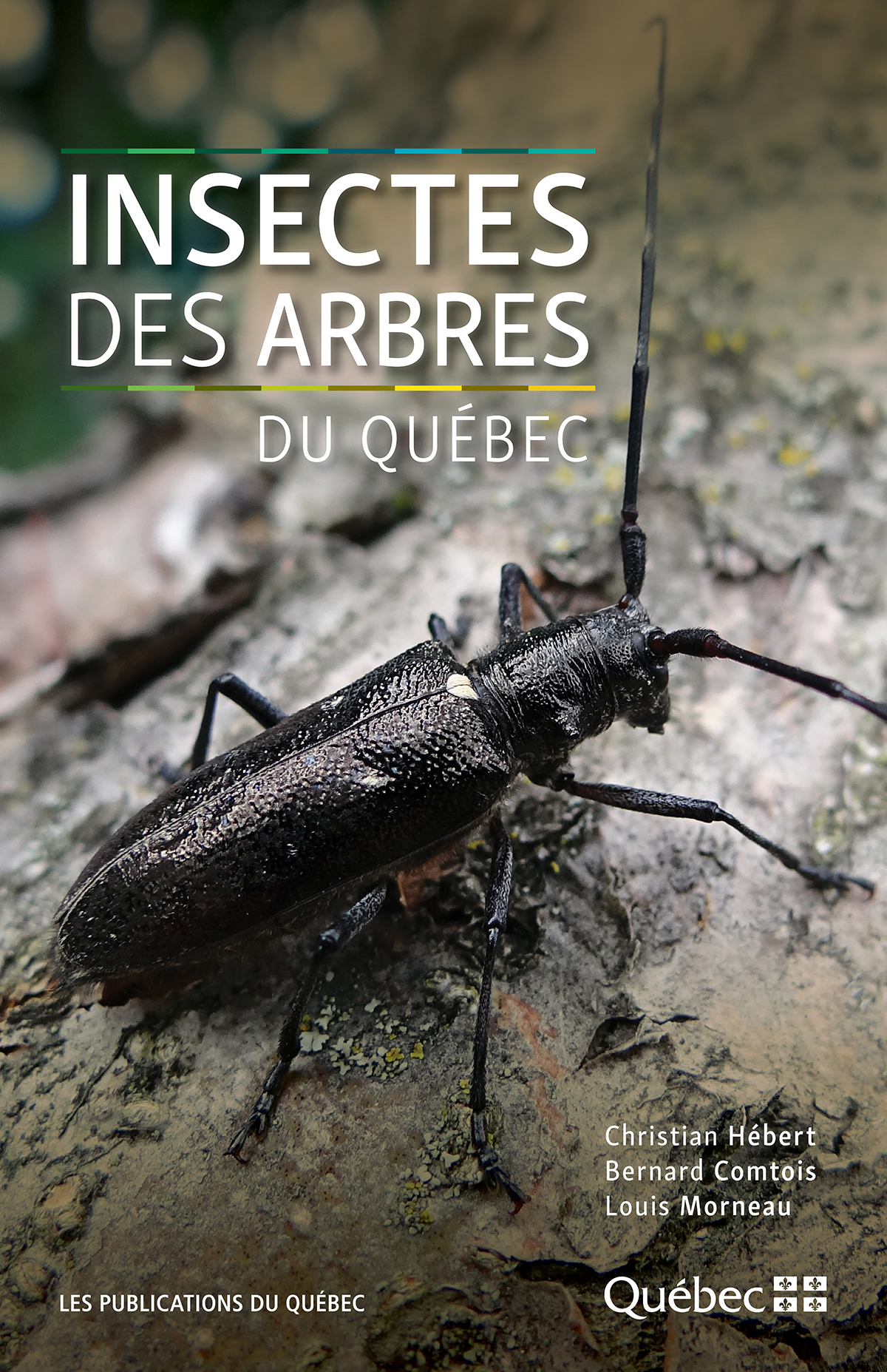 Insectes des arbres du Québec